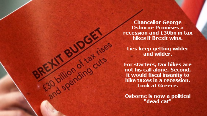 Brexit Debate Focus Shifts to Chickens, Dead Cats, Taxes – MishTalk