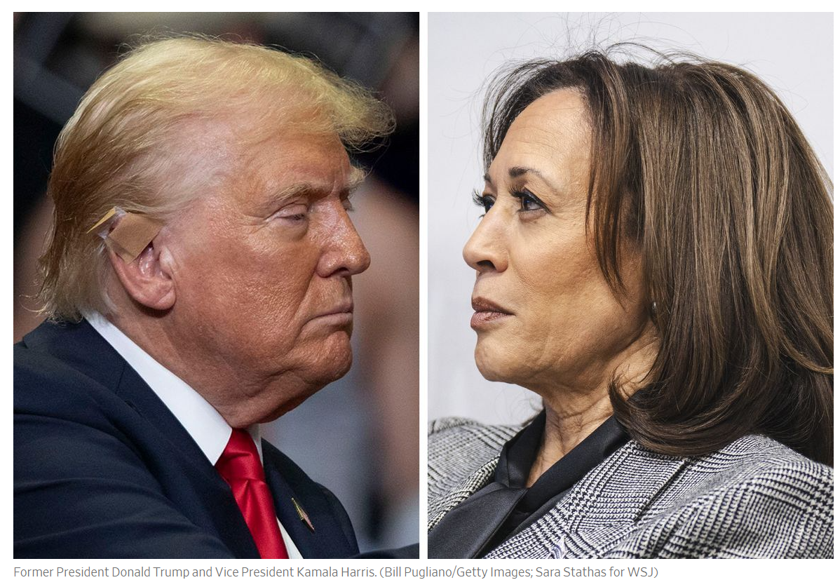 Here’s a First Look at Trump vs Kamala Harris Polls – MishTalk