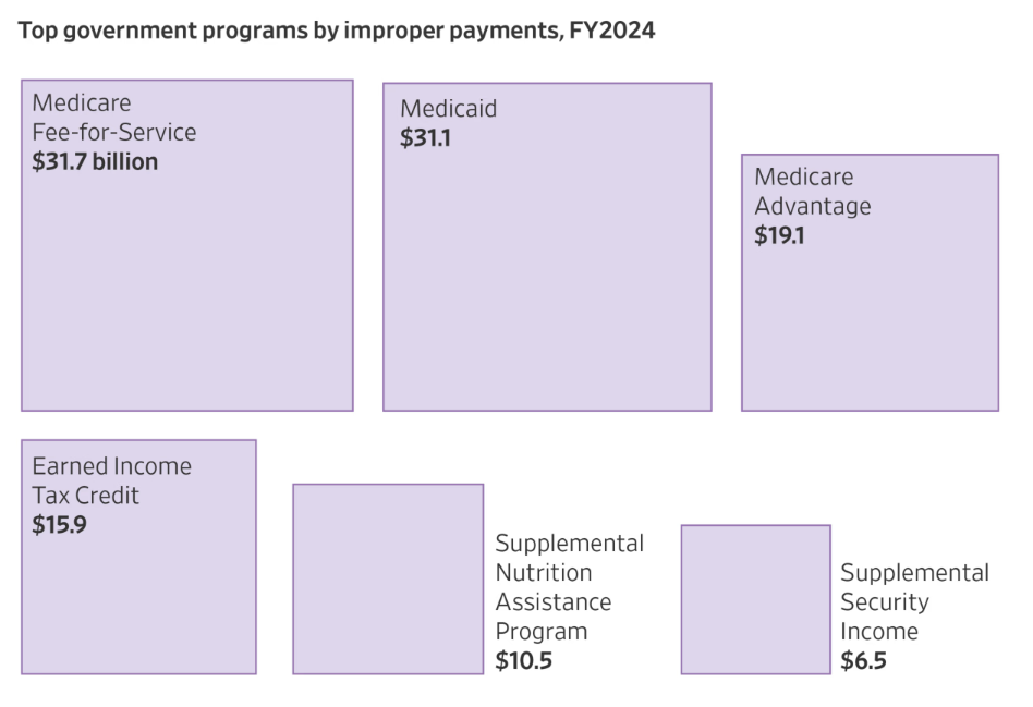 DOGE Finds Billions in Wasteful Spending but that Was a Known Problem ...